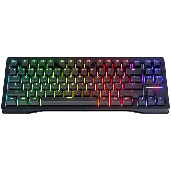Wooting HE Keyboards NZ | Computer Lounge