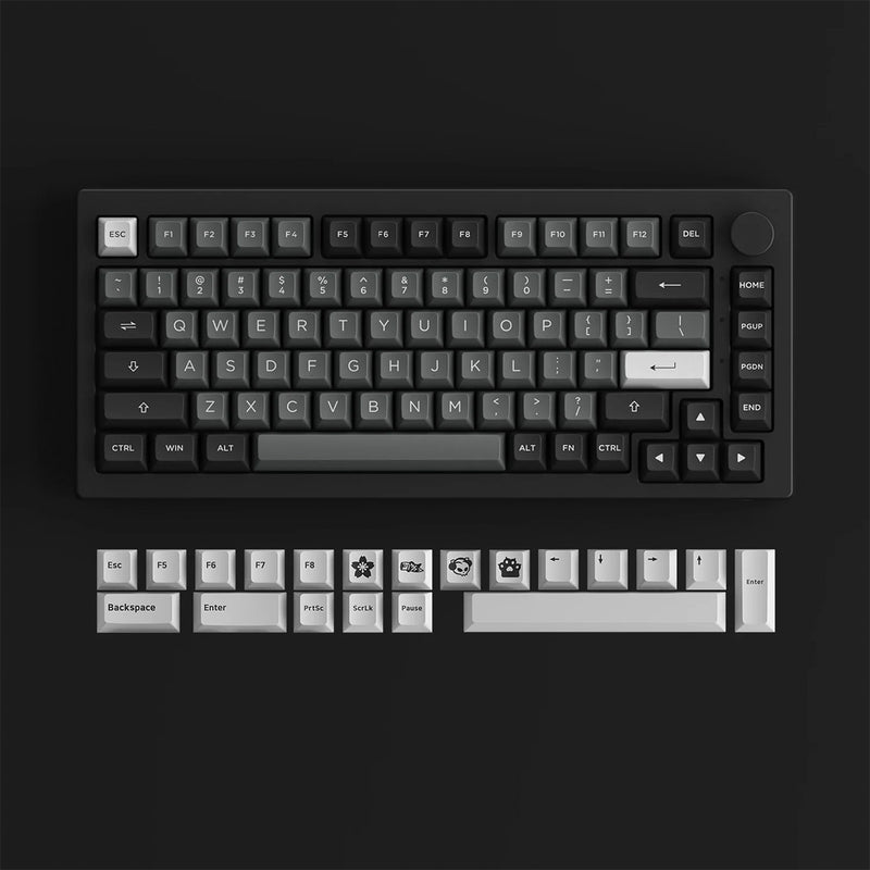 Mechanical Keyboards NZ | Computer Lounge